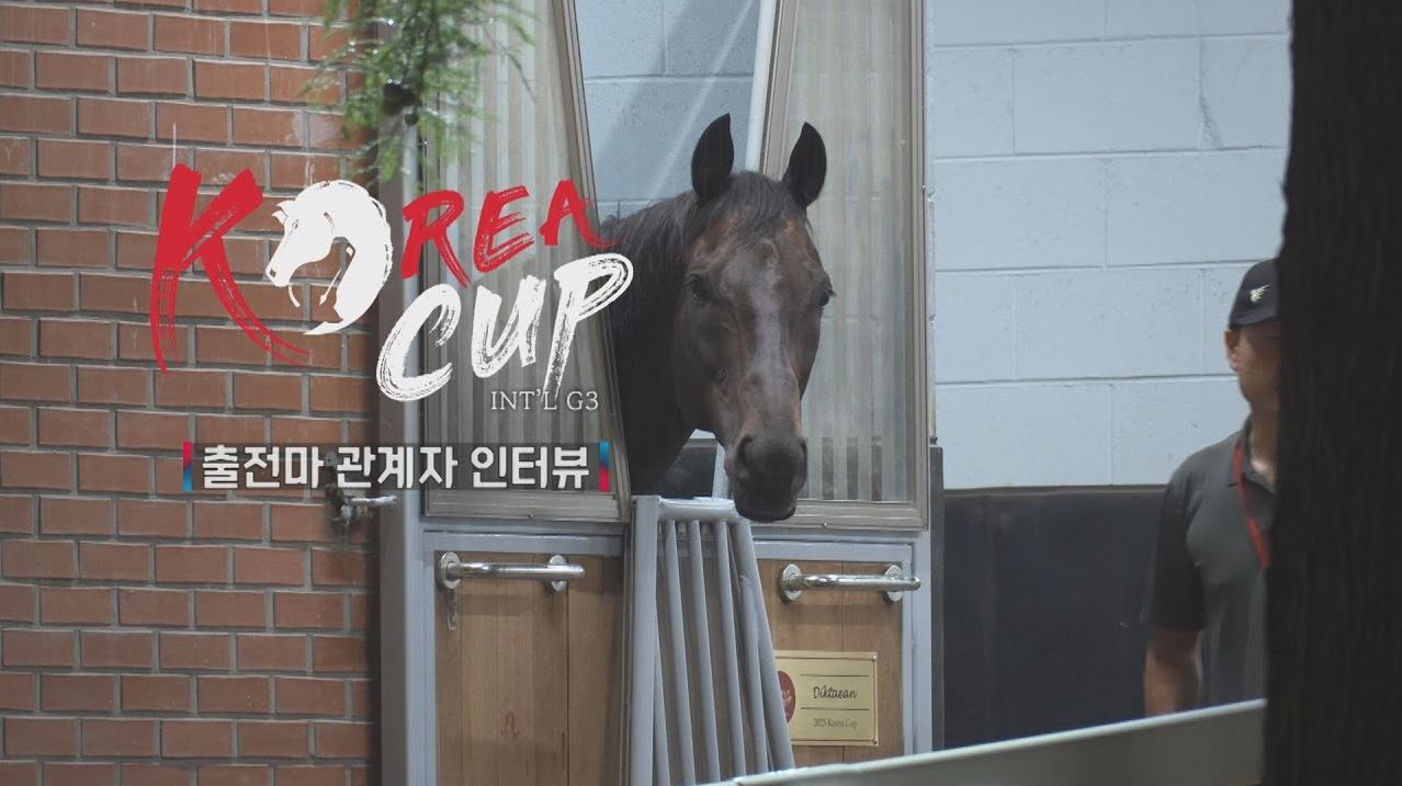 서울경마_경마정보